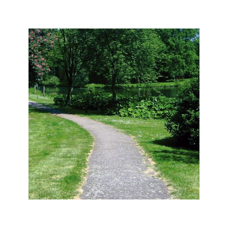 Park Sound Effect, Stereo e Surround Wav File